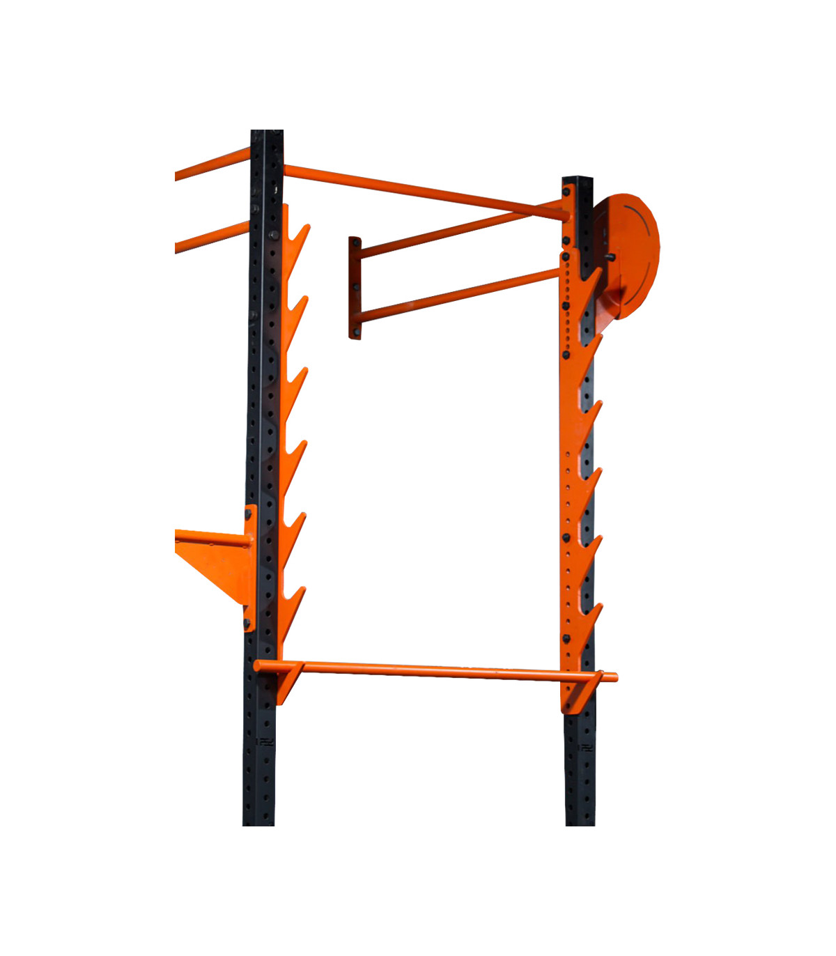 Salmon Ladder Squat Rack at JENENGE blog